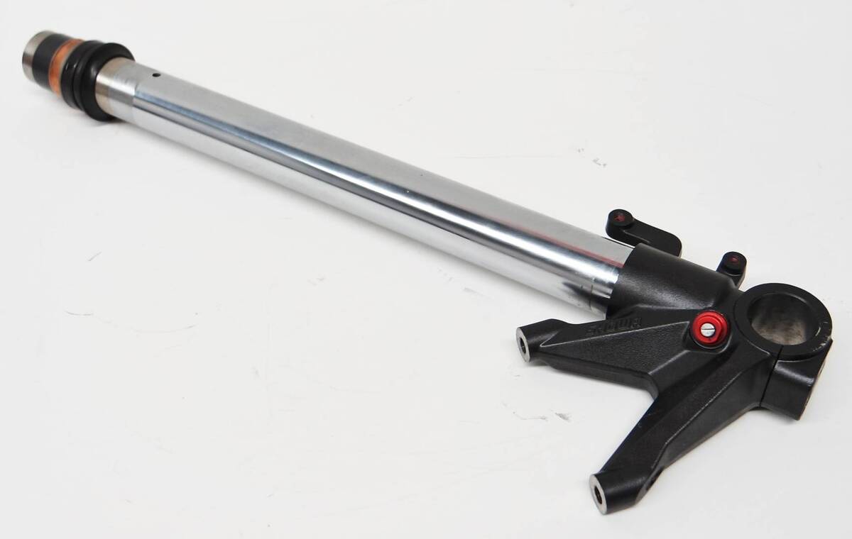 Vendo Stelo Forcella M796 & 848 Ducati a Udine (codice 6337091) - Moto.it