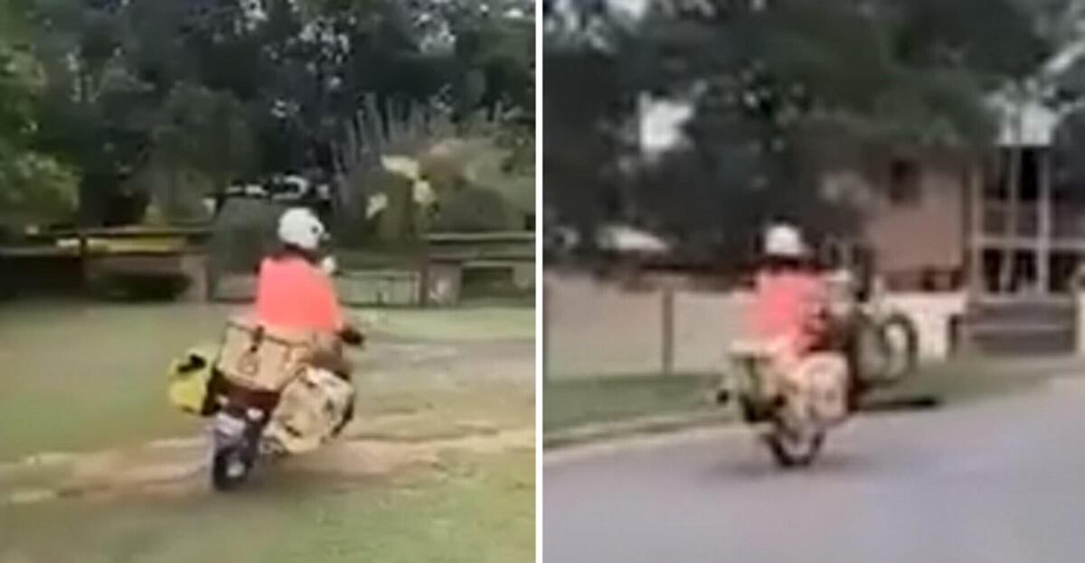 Postino-acrobata consegna le lettere impennando sulla moto - News - Moto.it