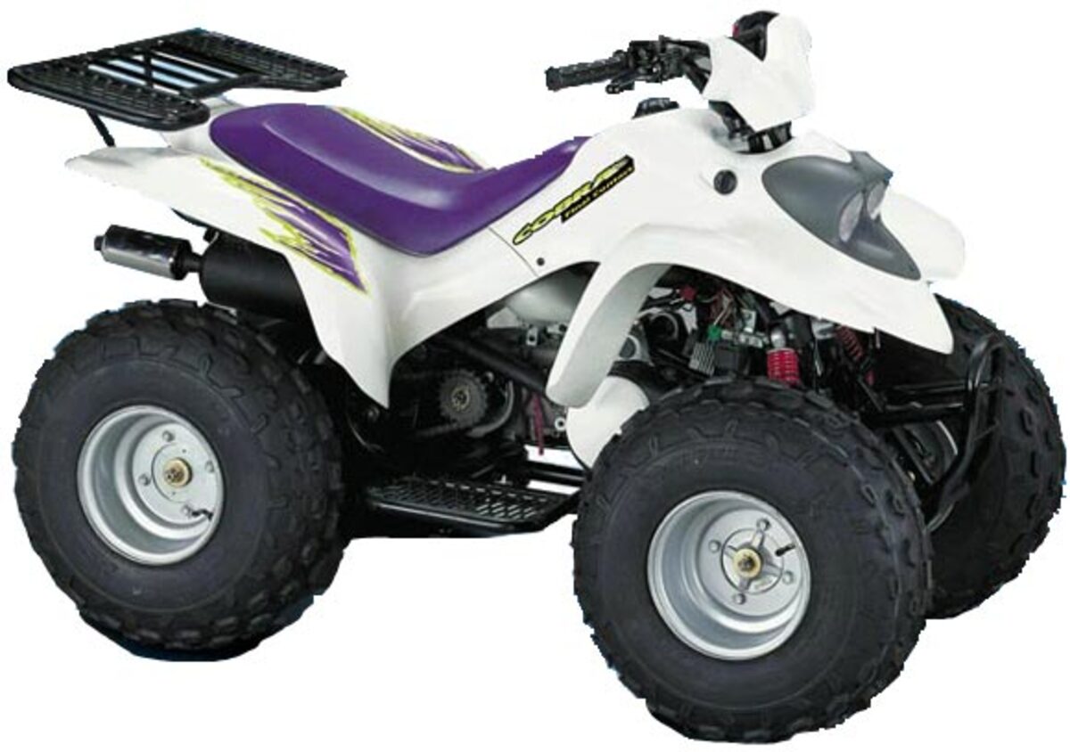 Kl Cobra 100, prezzo e scheda tecnica - Moto.it