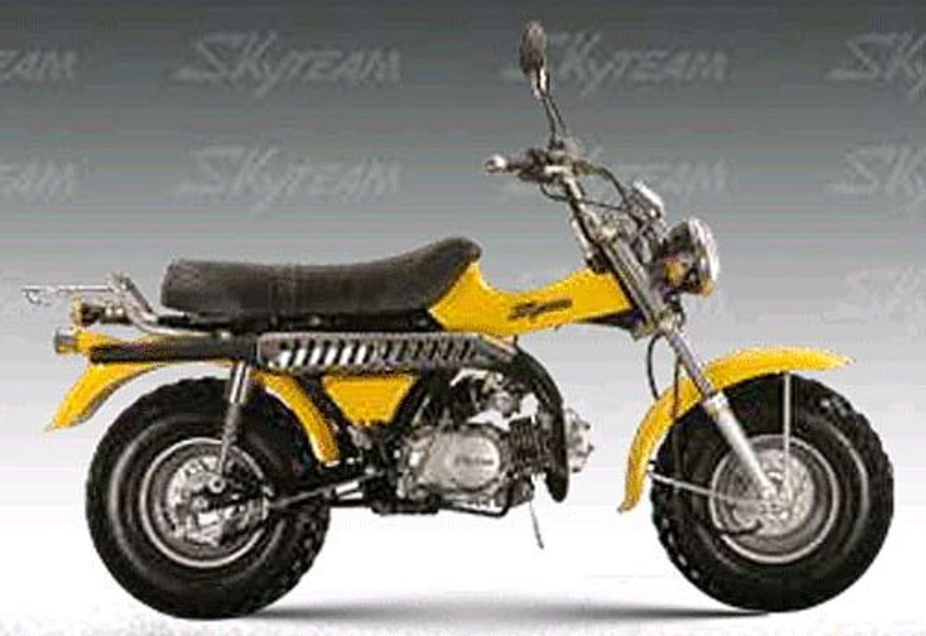 Sky Team T-Rex ST50-11, prezzo e scheda tecnica - Moto.it