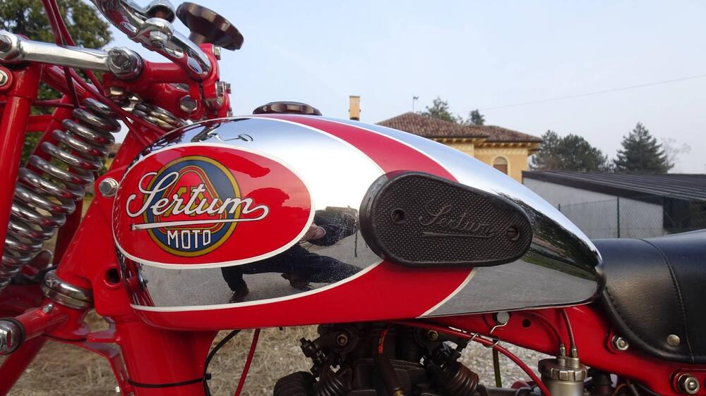 Vendo Sertum 250 CC VT4 d'epoca a Volpago del Montello (codice 9128119 ...
