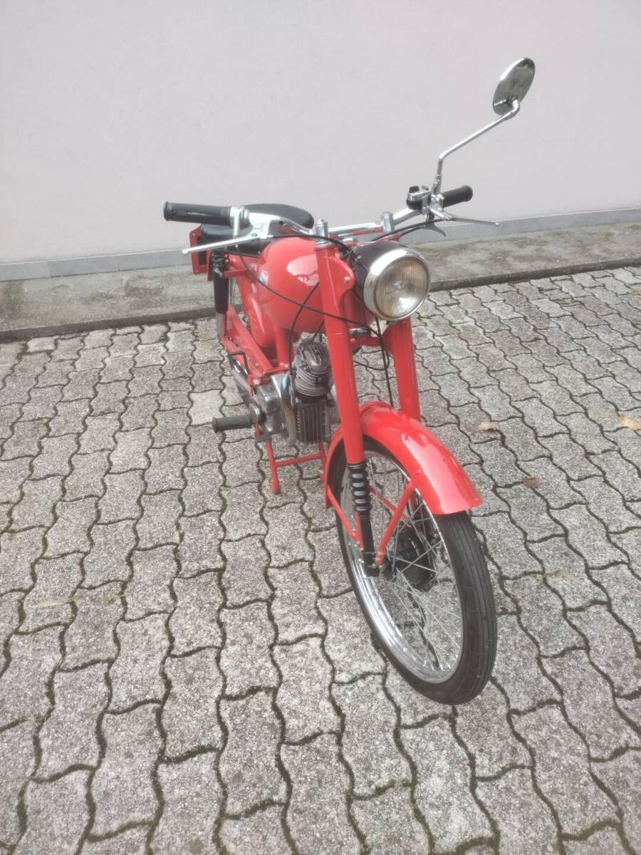 Vendo Ducati 65TL d'epoca a Sermide (codice 9305279) - Moto.it