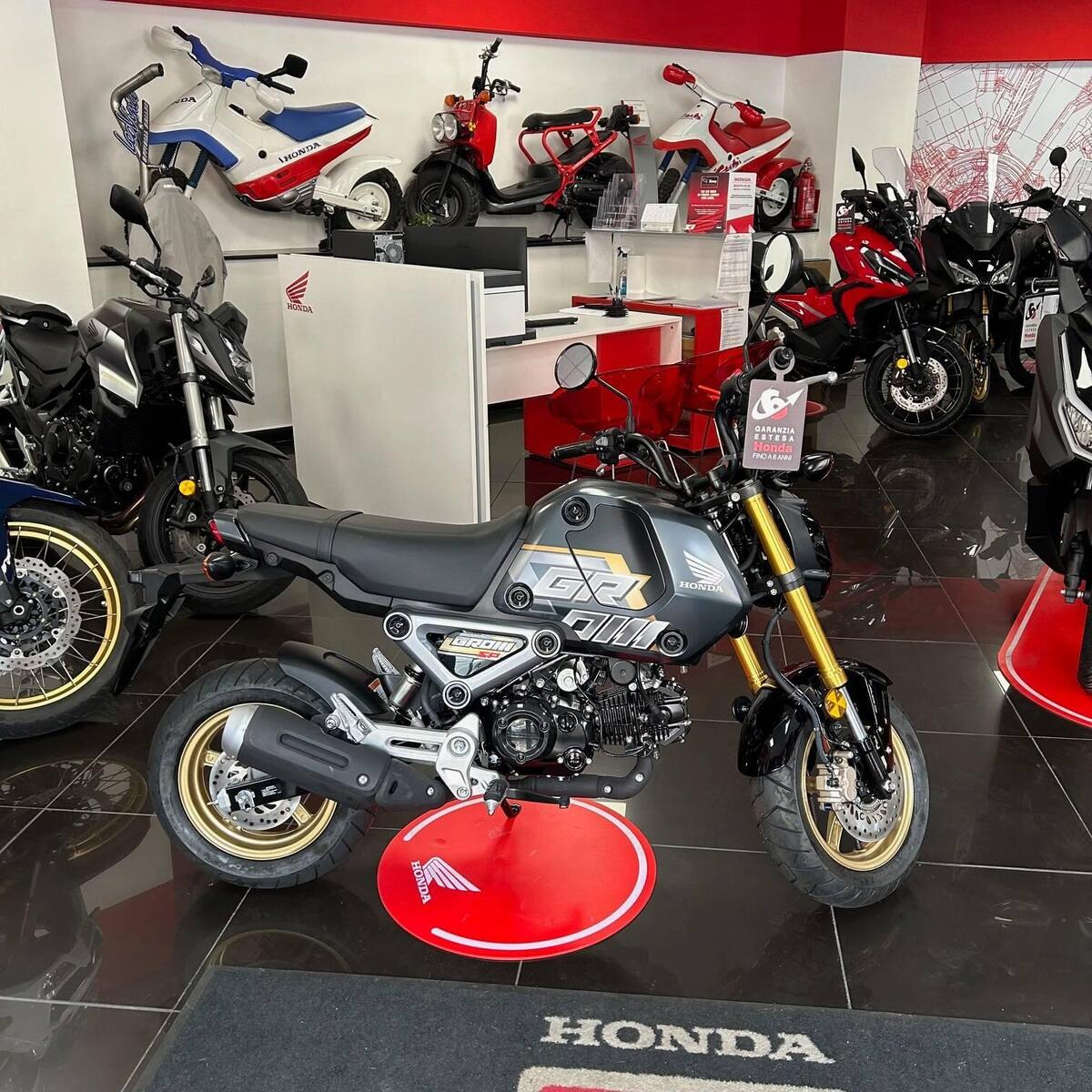 Vendo Honda MSX 125 Grom (2021 - 25) nuova a Genova (codice 9416135 ...