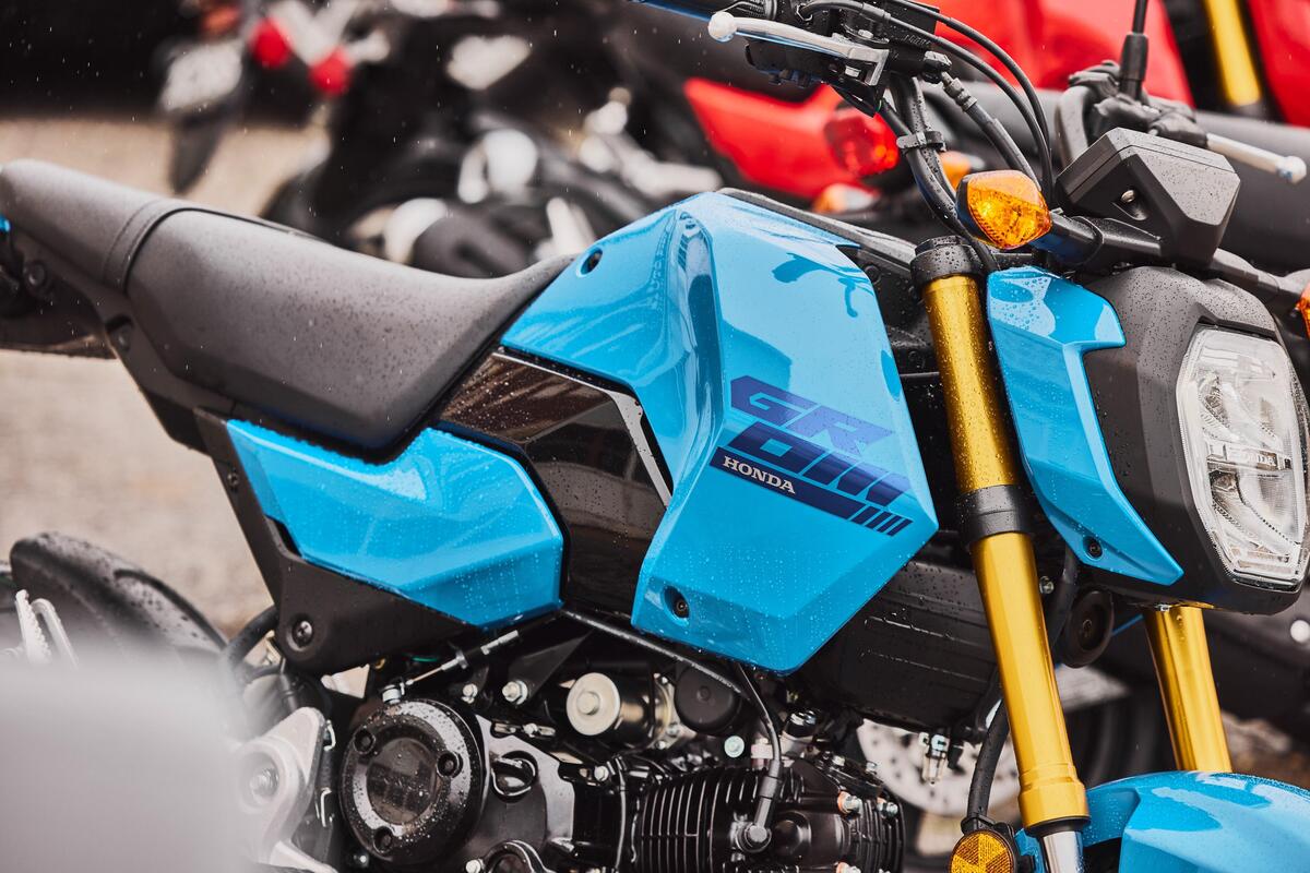 Honda MSX 125, aggiornamento 2025 per la mini “streetfighter” - News ...