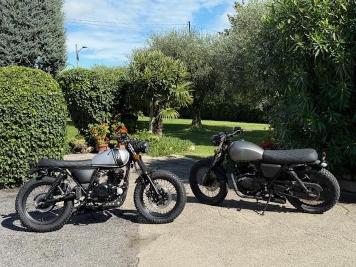 Vendo Mutt Motorcycles Fat Sabbath 250 (2021 - 23) nuova a Rimini ...