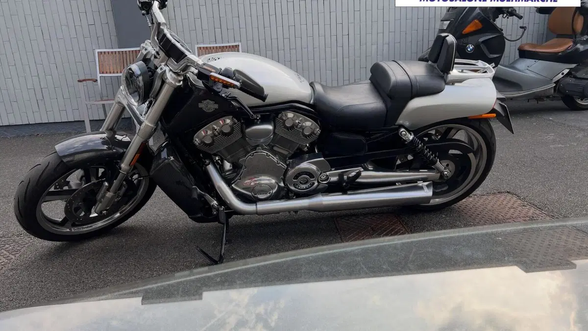 Vendo Harley-Davidson 1250 V-Rod Muscle (2009 - 17) - VRSCF usata a ...