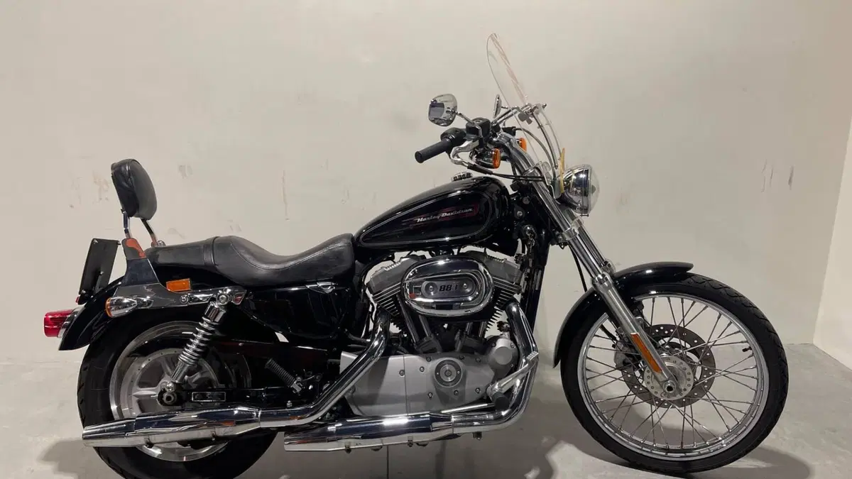 Vendo Harley-Davidson 883 Custom (2008 - 12) - XL 883C usata a Padova ...