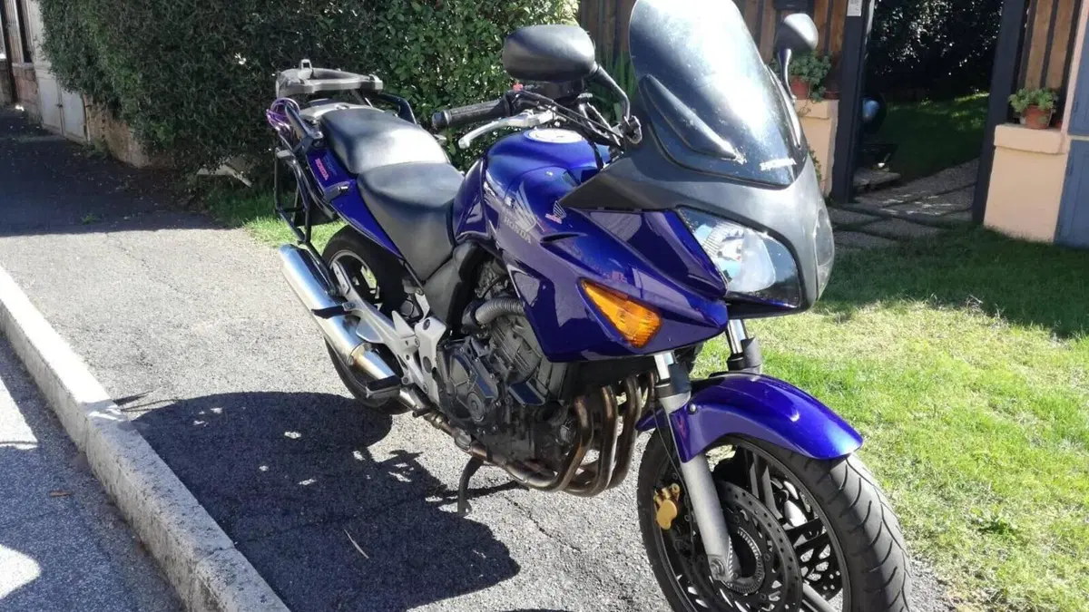 Vendo Honda CBF 600 ABS (2004 - 06) usata a Sutri (codice 10023219 ...