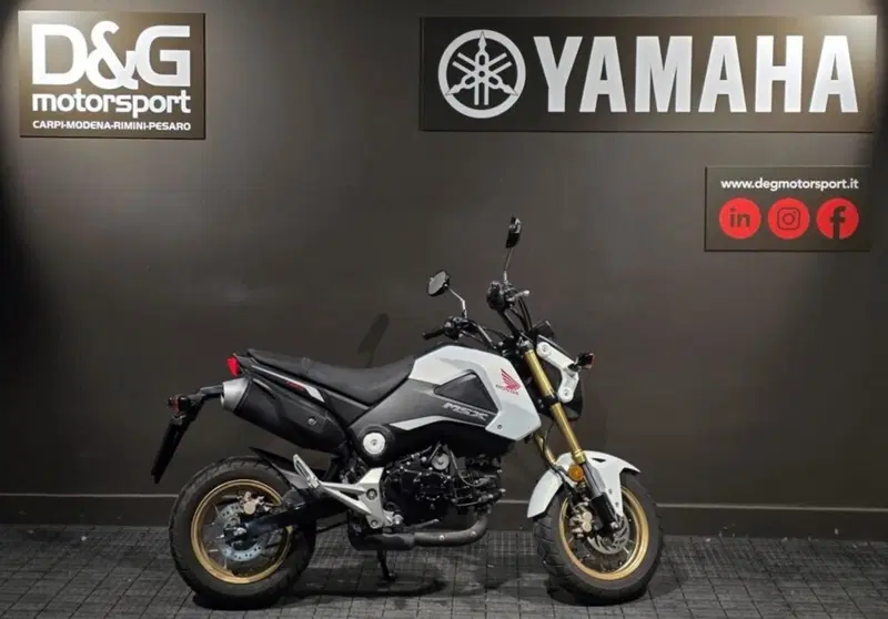 Vendo Honda MSX 125 (2016 - 17) usata a Rimini (codice 10024407) - Moto.it