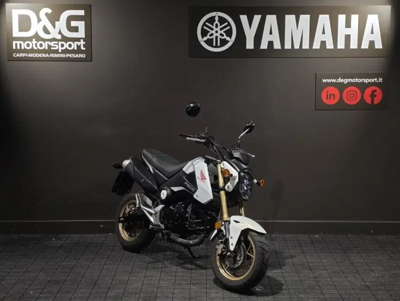 Vendo Honda MSX 125 (2016 - 17) usata a Rimini (codice 10024407) - Moto.it