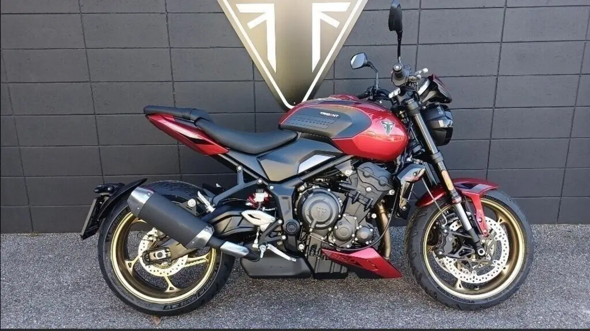 Vendo Triumph Trident 800 (2026) usata a Brescia (codice 10024797 ...