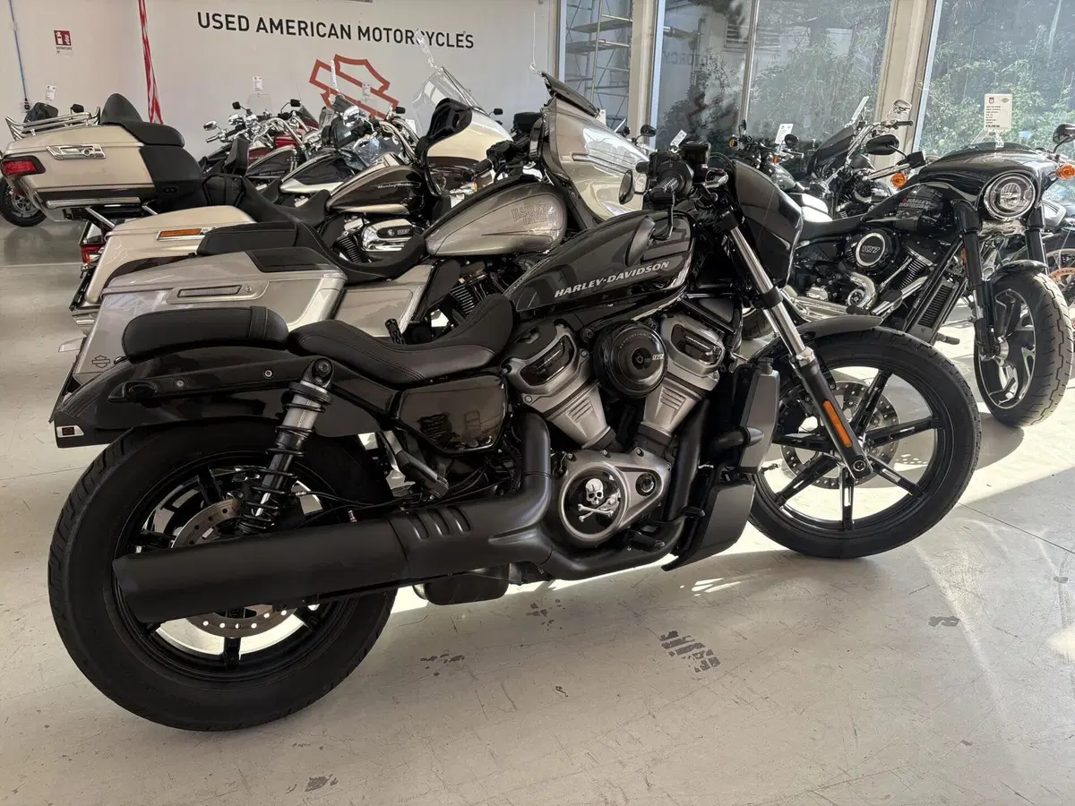 Vendo Harley-Davidson Nightster (2023 - 26) usata a Torino (codice ...