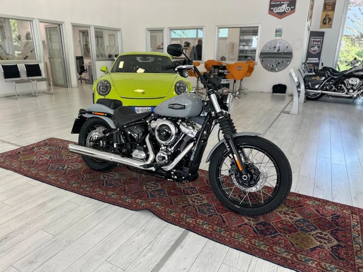 Vendo Harley-Davidson Street Bob 117 (2025 - 26) usata a Endine Gaiano ...
