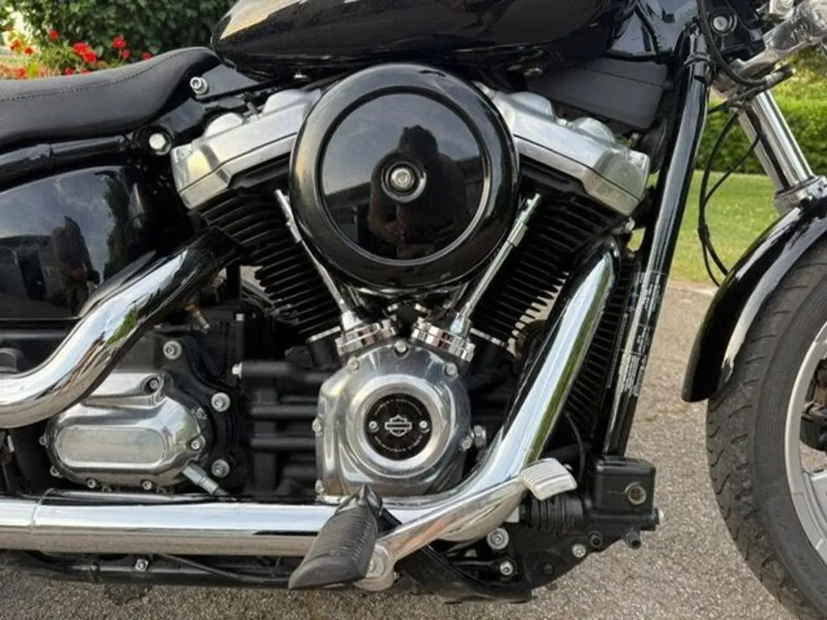 Vendo Harley-Davidson Softail Standard (2021 - 25) usata a Rimini ...