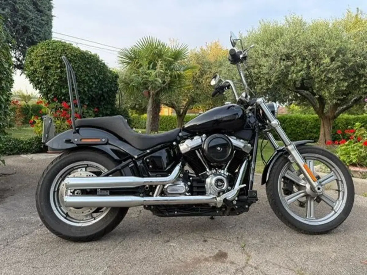 Vendo Harley-Davidson Softail Standard (2021 - 25) usata a Rimini ...
