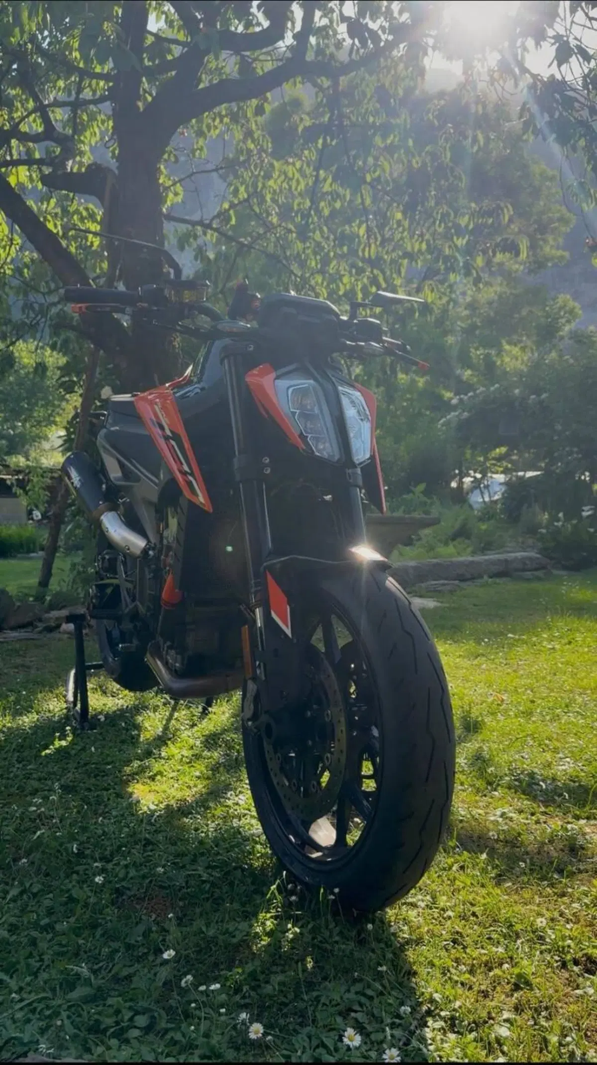 Vendo KTM 790 Duke L (2023 - 24) usata a Baveno (codice 10030796) - Moto.it
