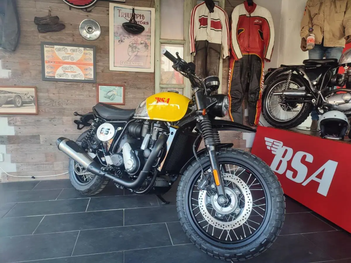 Vendo Bsa Scrambler 650 (2025 - 26) nuova a Biella (codice 10033364 ...