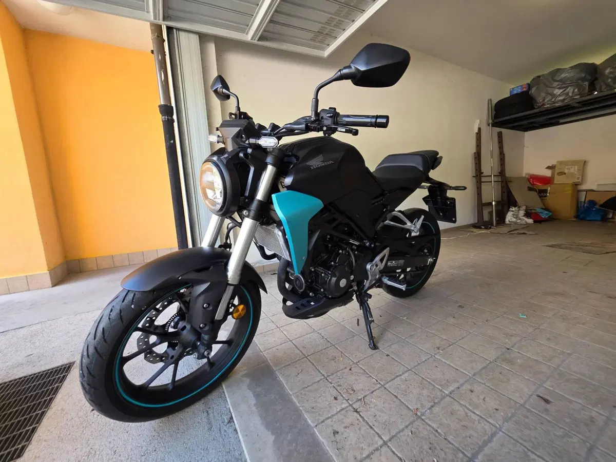 Vendo Honda CB 300 R (2018 - 19) usata a L'Aquila (codice 10034159 ...