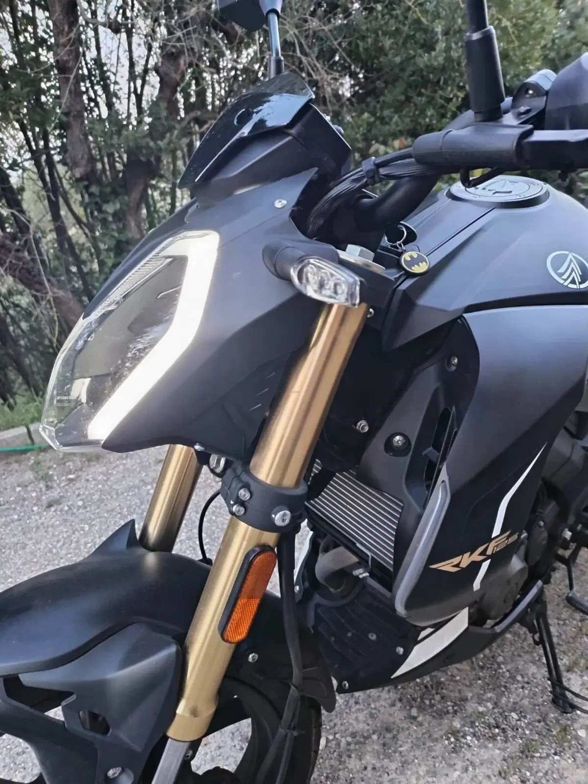 Vendo Keeway Motor RKF 125 (2021 - 24) usata a Casale Marittimo (codice ...