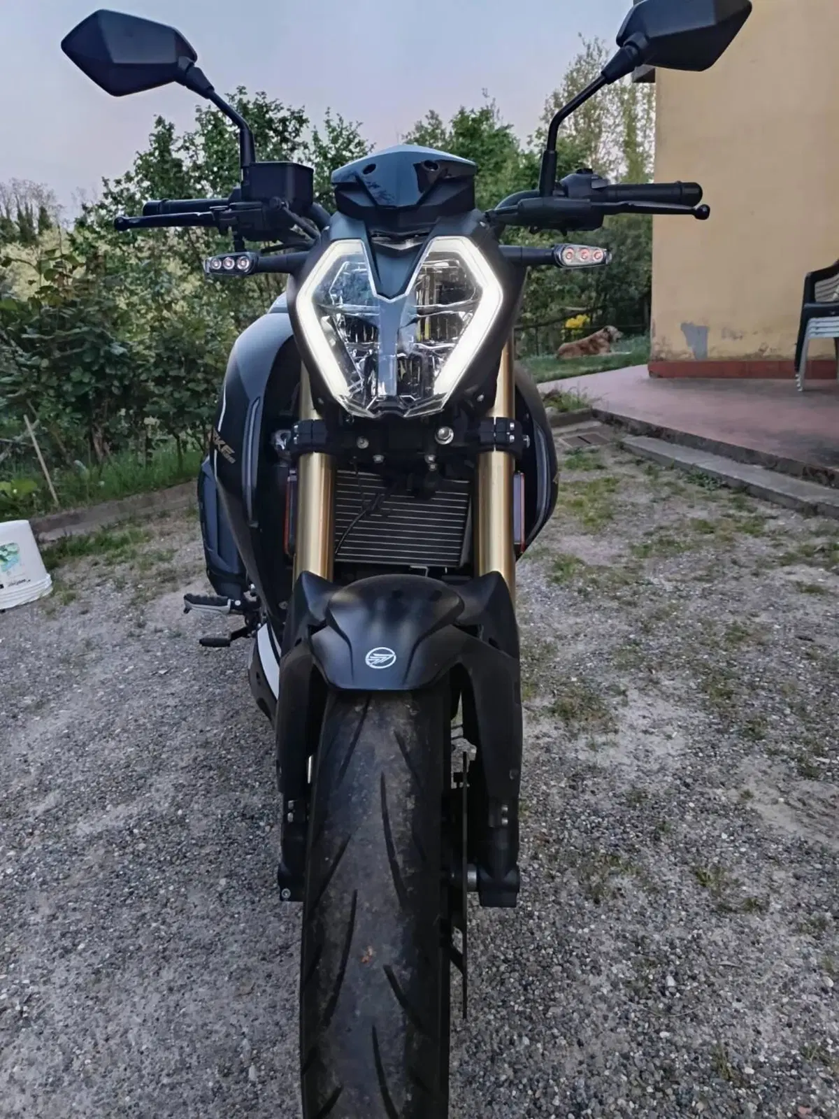 Vendo Keeway Motor RKF 125 (2021 - 24) usata a Casale Marittimo (codice ...