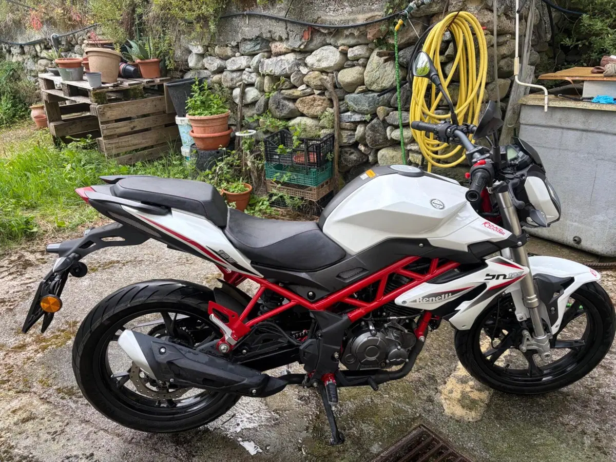 Vendo Benelli BN 125 (2021 - 25) usata a Campomorone (codice 10034710 ...