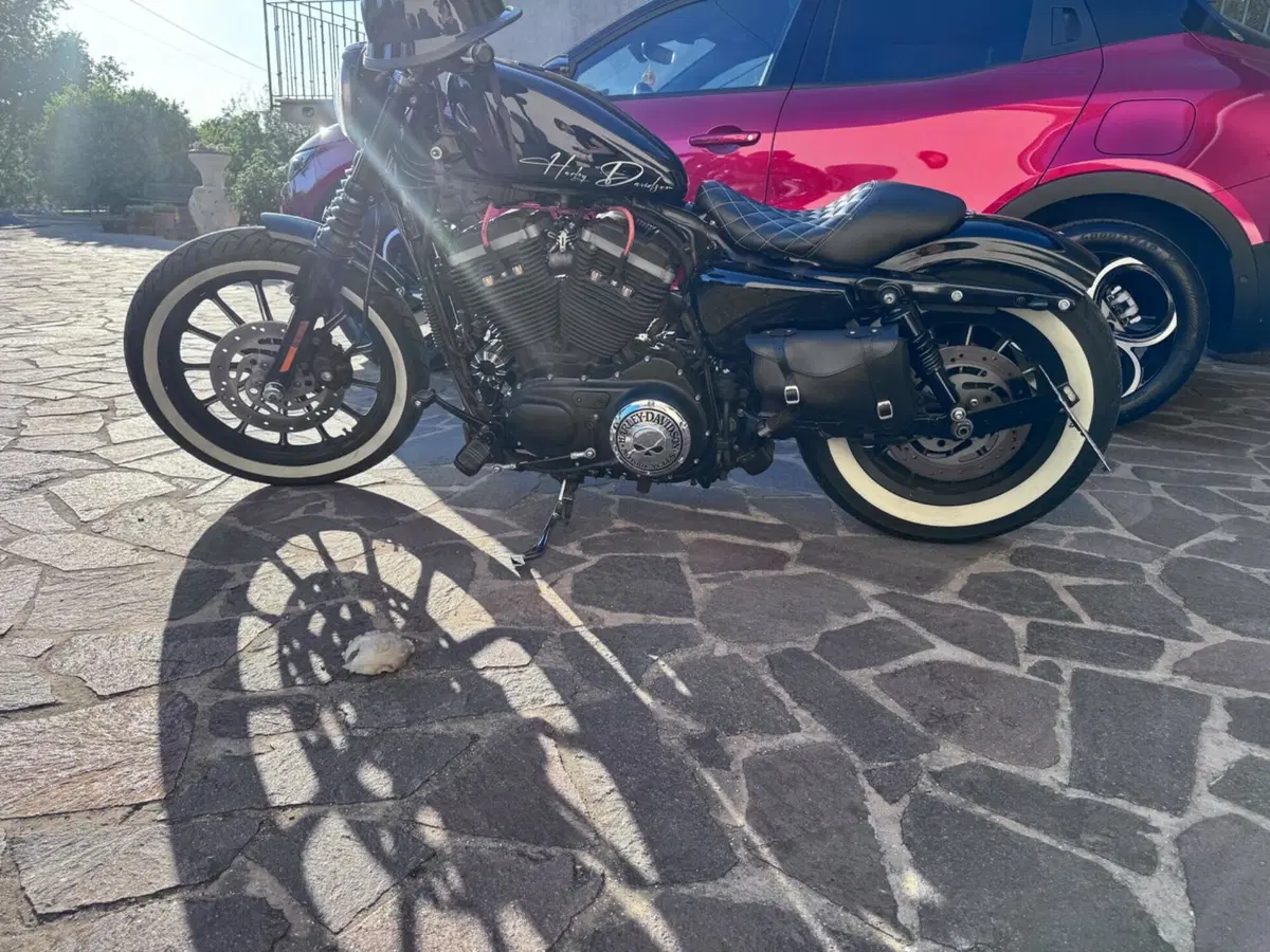Vendo Harley-Davidson 883 Iron (2009 - 11) - XL 883N usata a Cassino ...