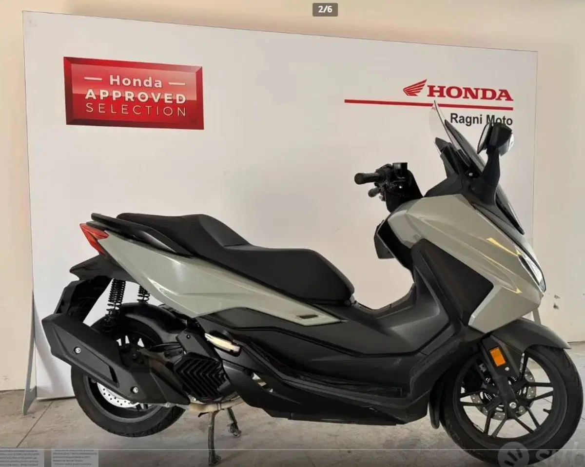 Vendo Honda Forza 125 (2023 - 24) usata a Fabriano (codice 10038536 ...