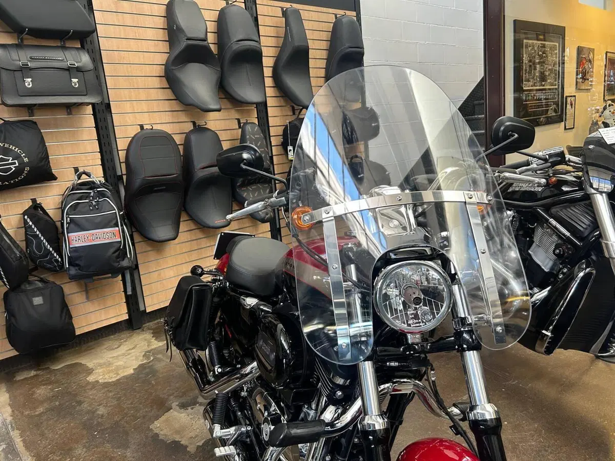 Vendo Harley-Davidson 1200 Custom (2018 - 20) - XL1200C usata a Torino ...