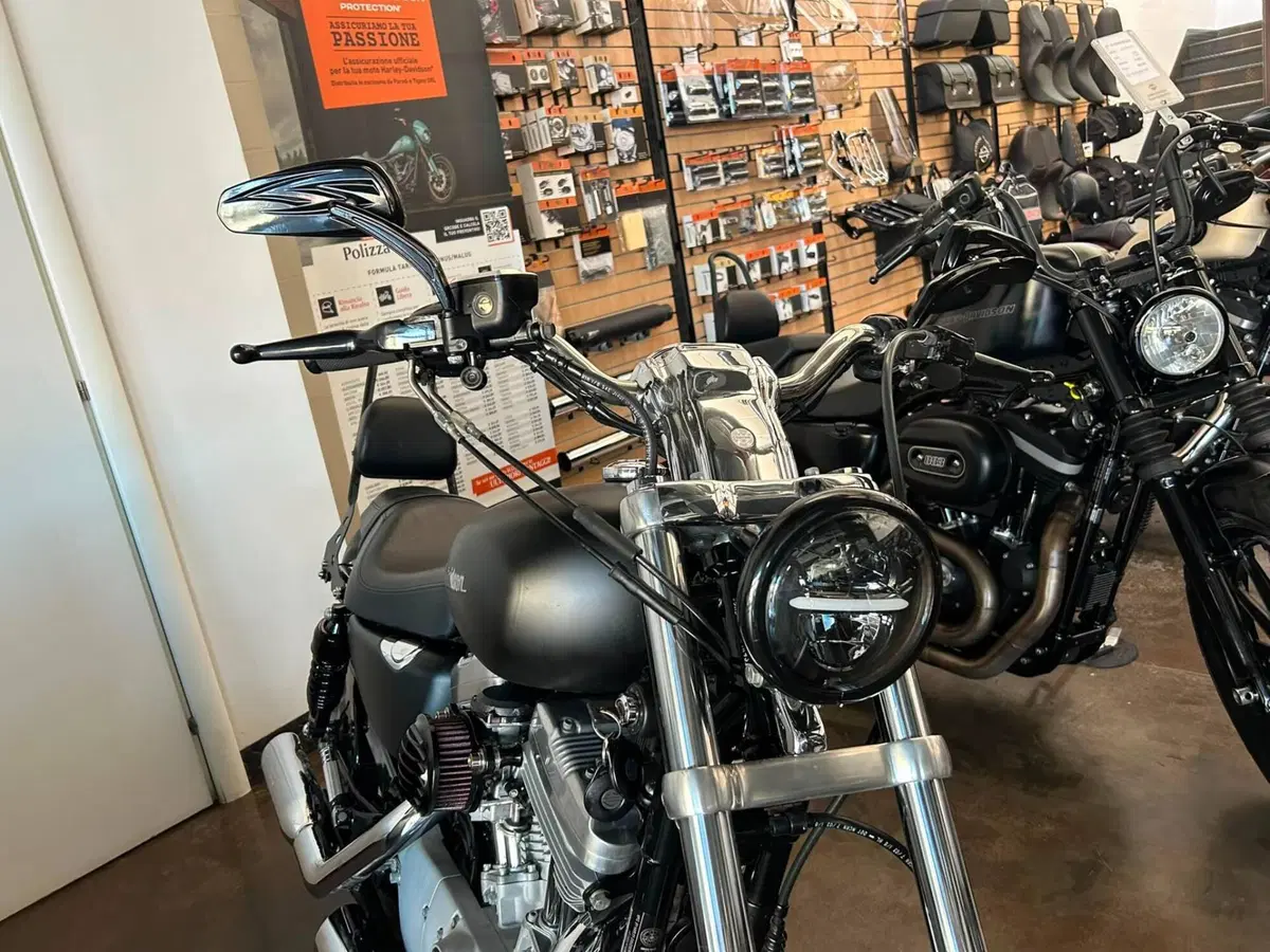 Vendo Harley-Davidson 883 Custom (2001 - 05) - XL 53C usata a Torino ...