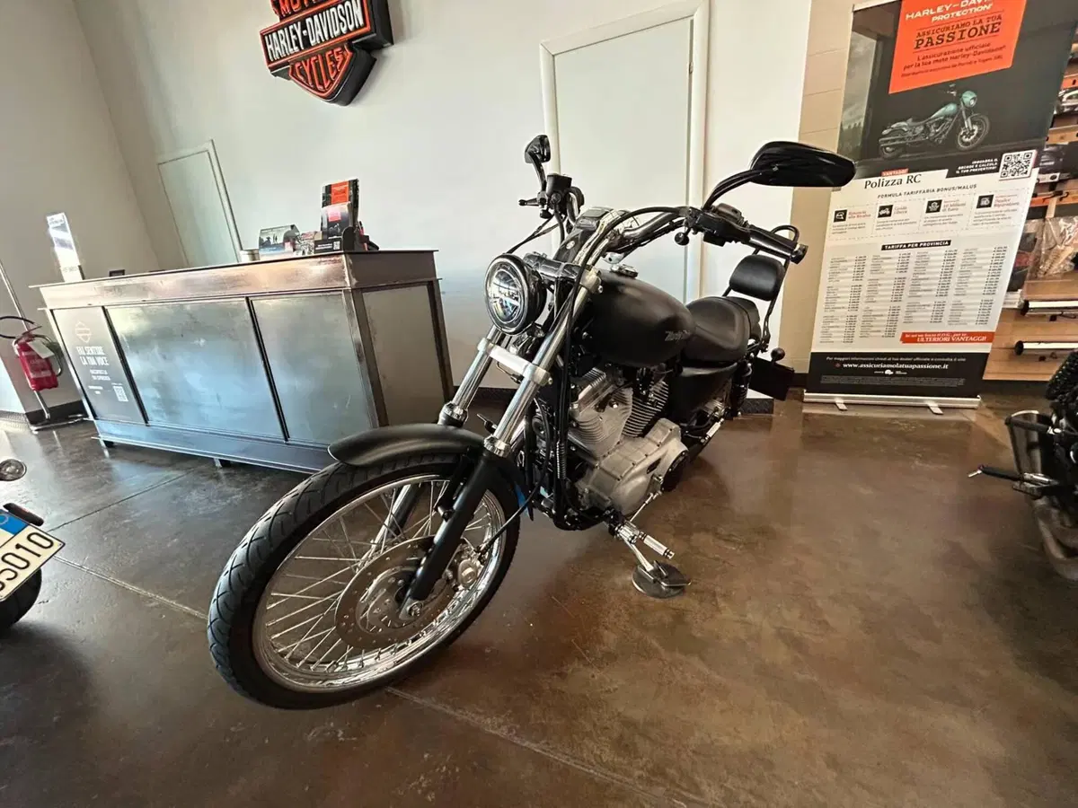 Vendo Harley-Davidson 883 Custom (2001 - 05) - XL 53C usata a Torino ...