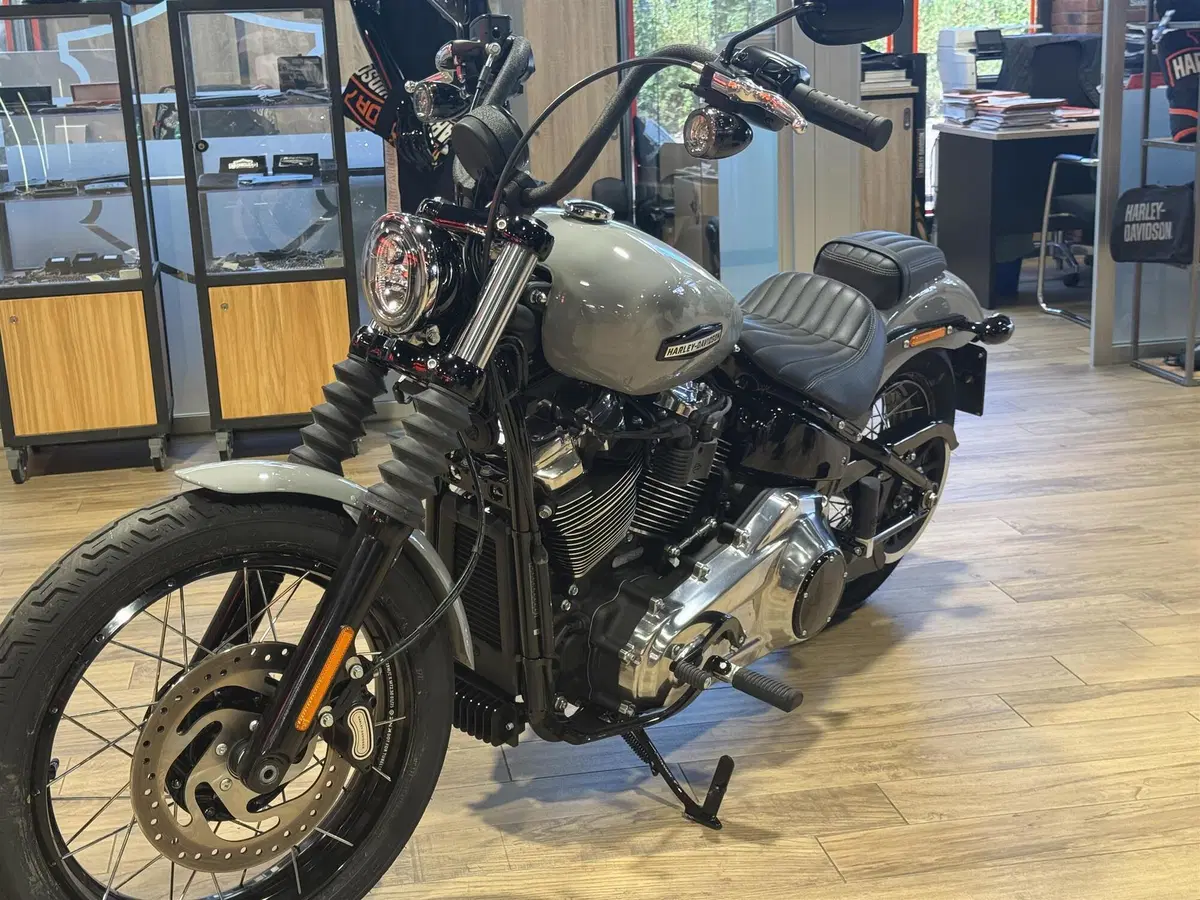 Vendo Harley-Davidson Street Bob 117 (2025 - 26) usata a Legnano ...
