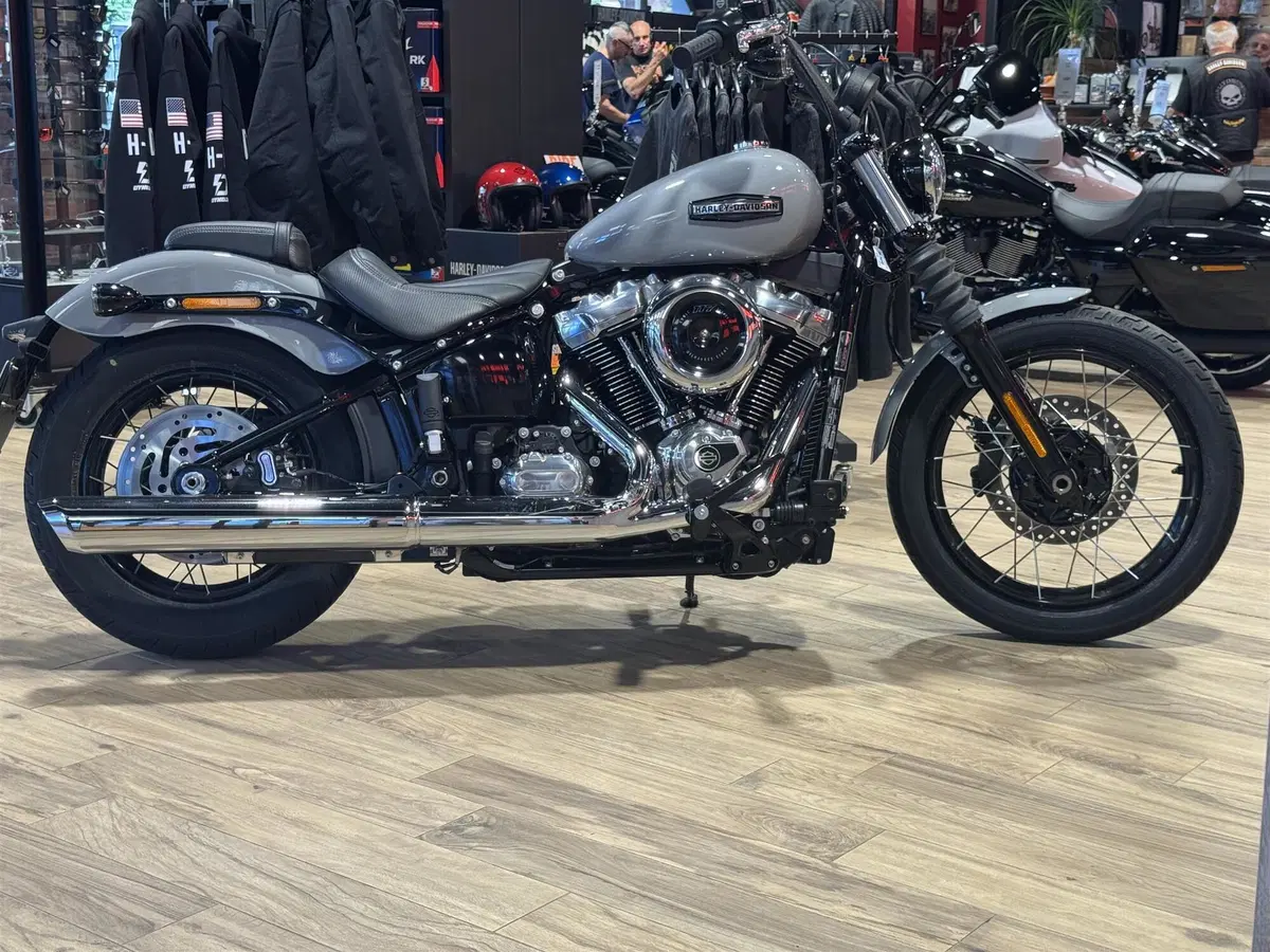 Vendo Harley-Davidson Street Bob 117 (2025 - 26) usata a Legnano ...