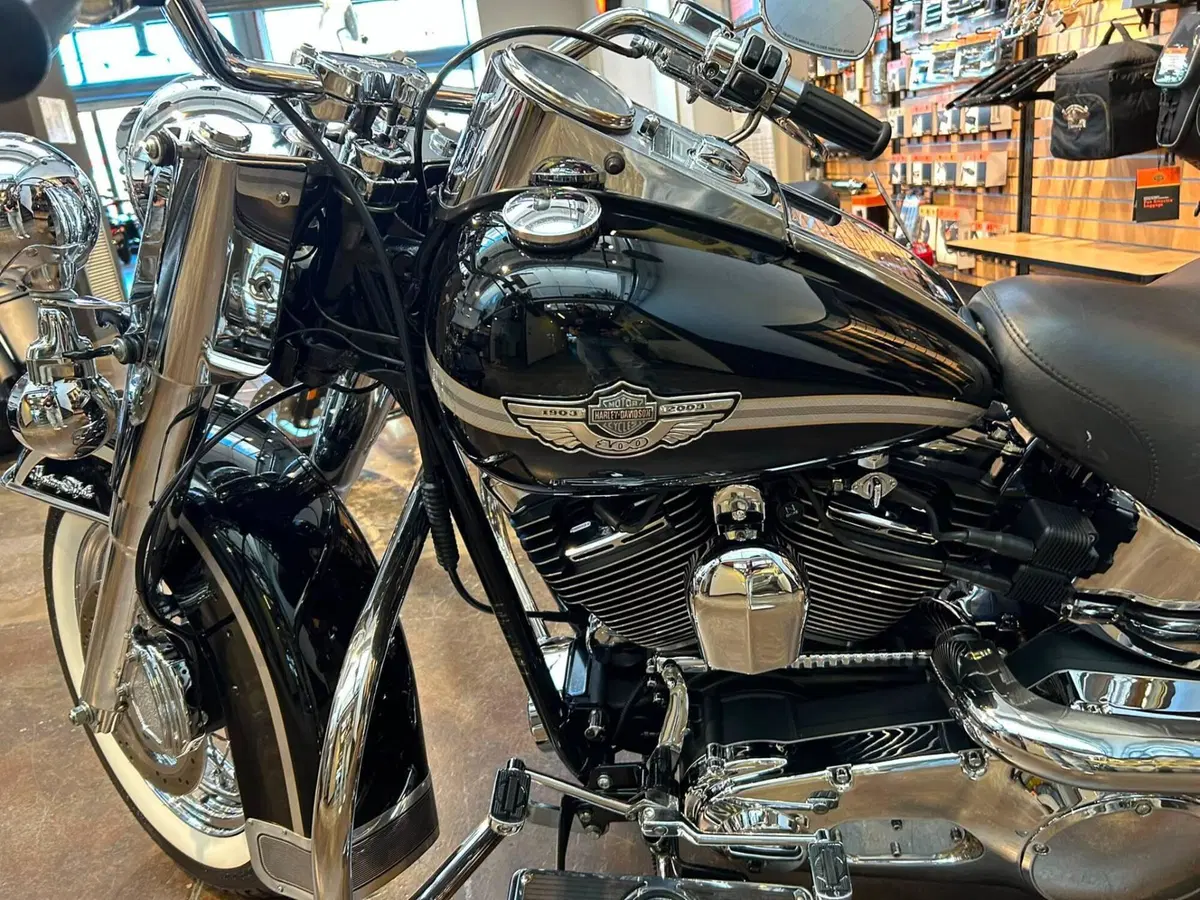 Vendo Harley-Davidson 1450 Heritage Classic (2003 - 05) - FLSTCI usata ...