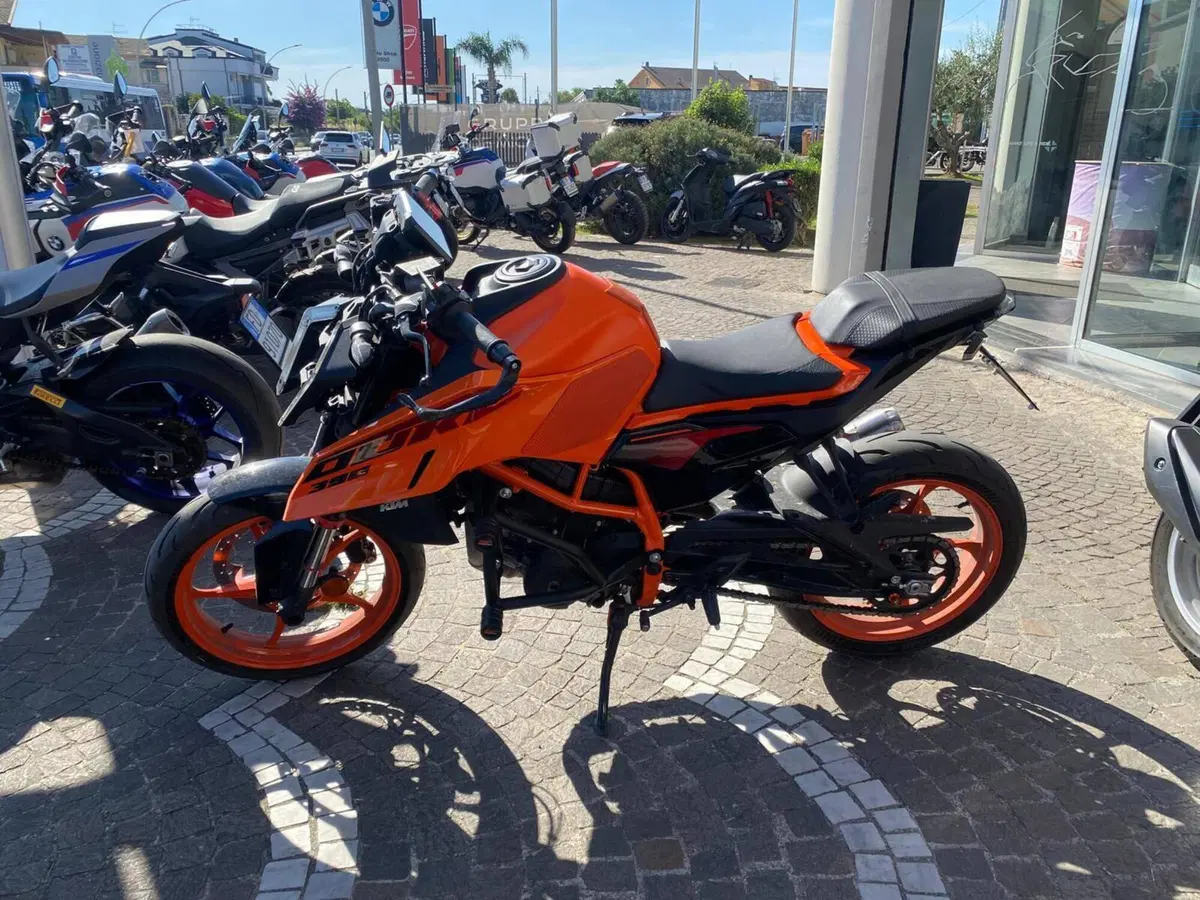 Vendo KTM 390 Duke (2024 - 25) usata a Capua (codice 10040966) - Moto.it