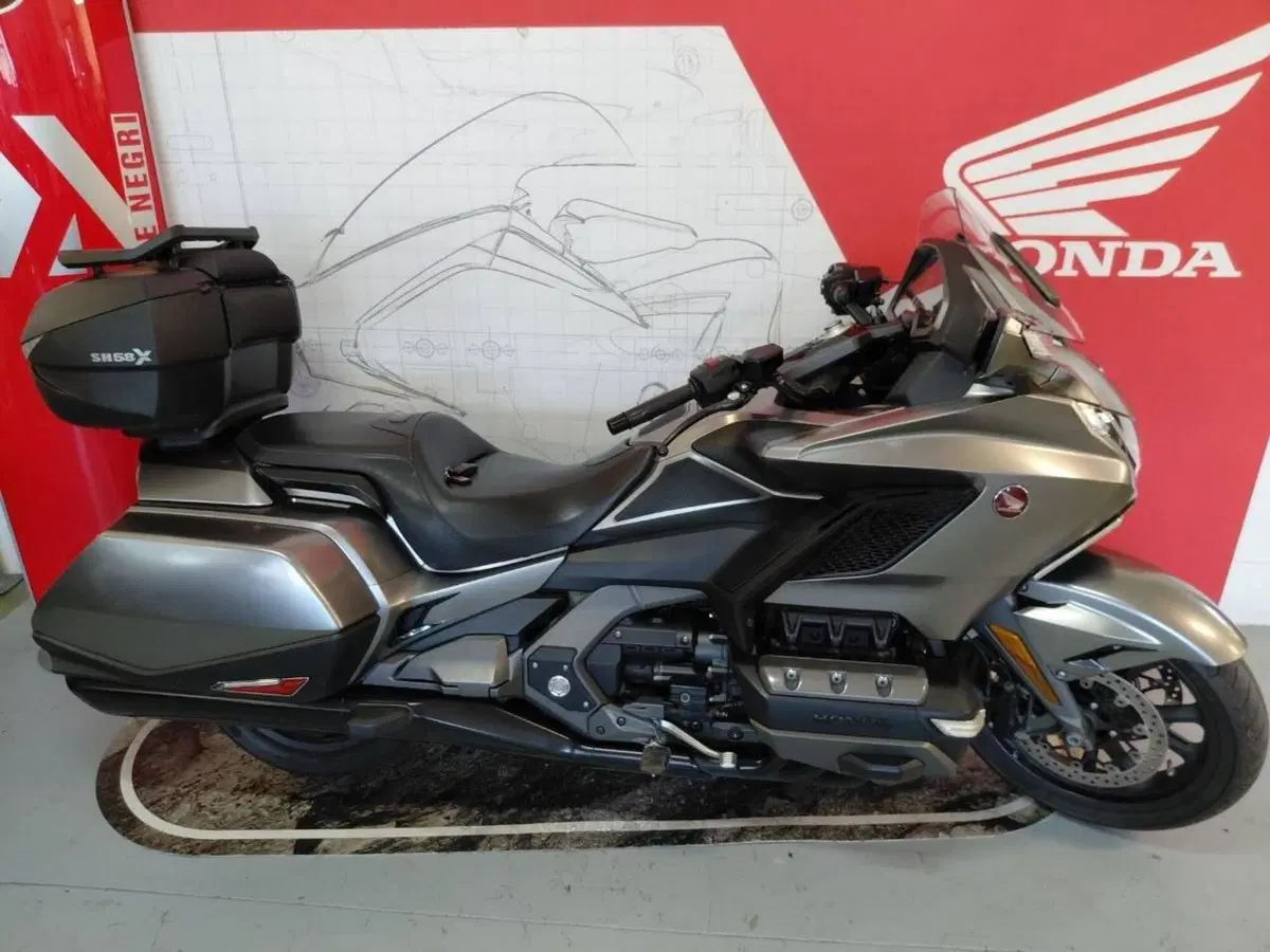 Vendo Honda GL 1800 Gold Wing (2018 - 20) usata a Pederobba (codice ...