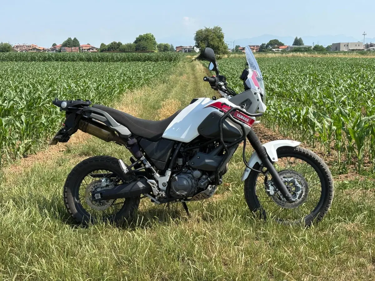 Vendo Yamaha XT 660 Z Ténéré (2008 - 16) usata a Saronno (codice ...